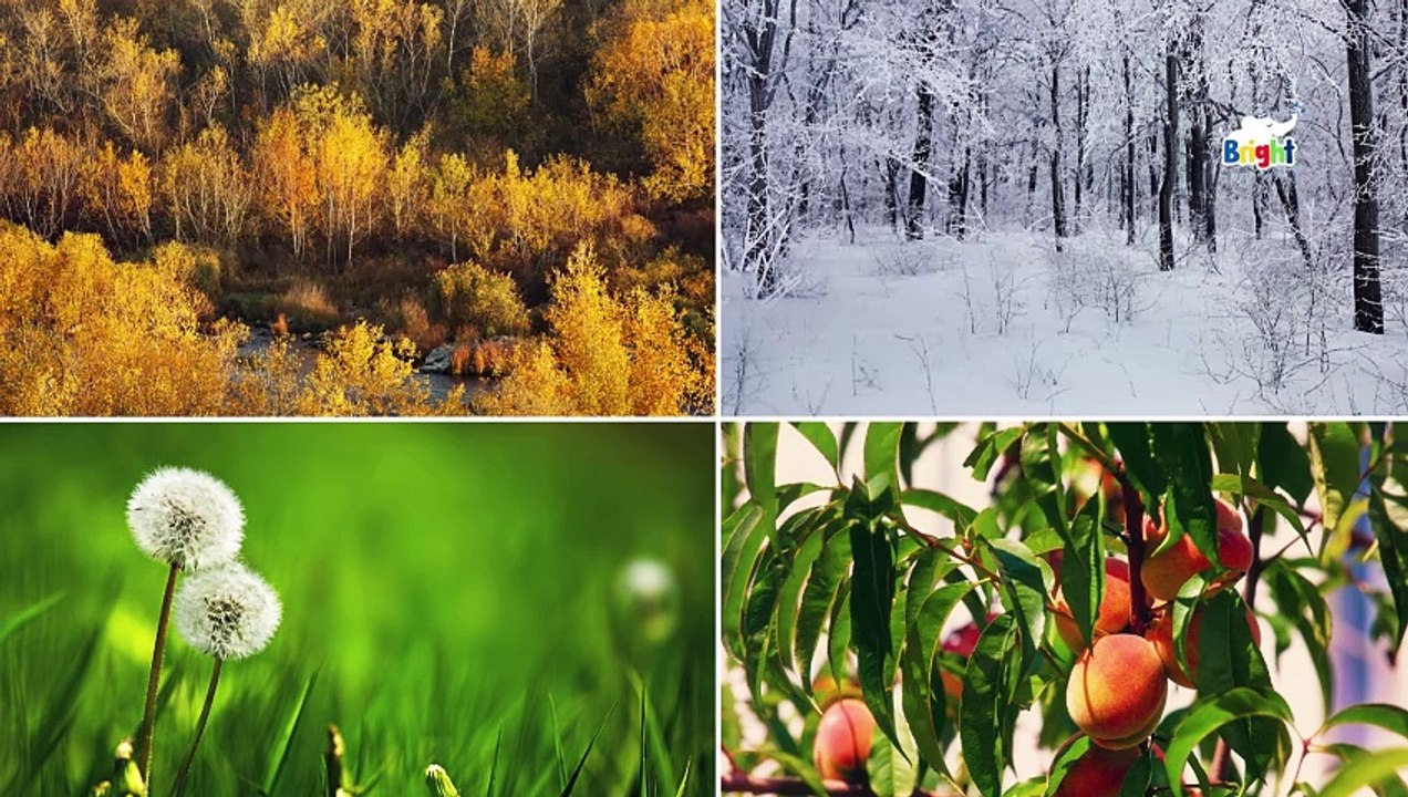 Seasons of the Year | Four Seasons | learning for Kids and Toddlers ...