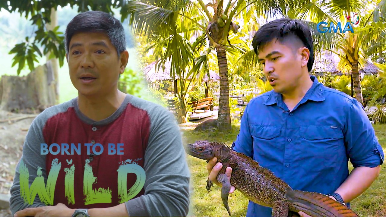Join Docs Ferds and Nielsen as they explore the world of a dragon-like lizard | Born to be Wild ...