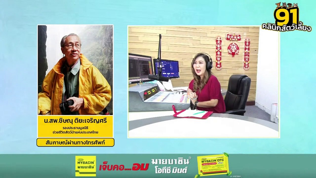 การคุมกำเนิดในแมว EP.2 : FM91 คลินิกสัตว์เลี้ยง : 11 กุมภาพันธ์ 2567 - video Dailymotion
