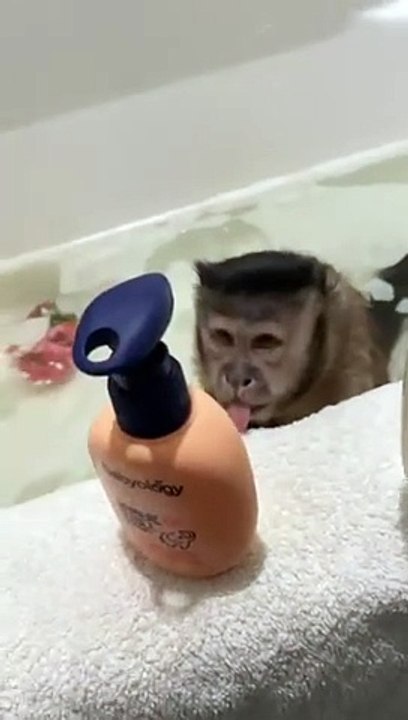 Bath soak! - video Dailymotion