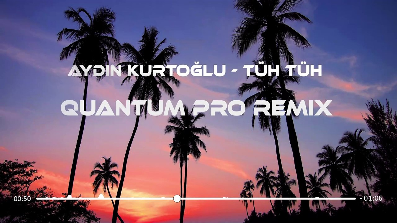 Tüh Tüh - Aydın Kurtoğlu (REMİX) #Tiktok - Dailymotion Video