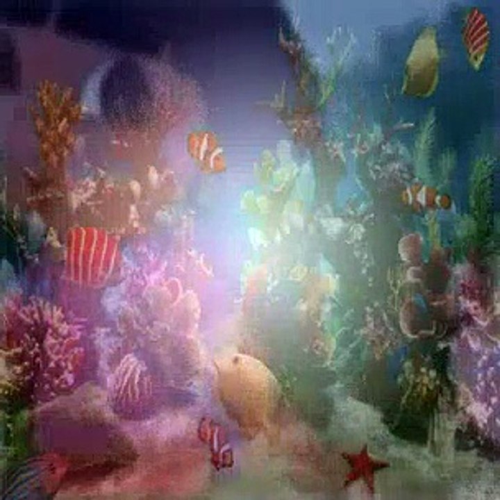 Dora The Explorer S01E18 Bugga Bugga - video Dailymotion