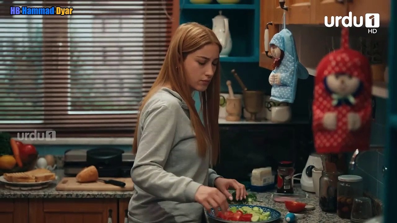 MUSAFIR .S01 E08 .720p HINDI/URDU DUBBED - video Dailymotion