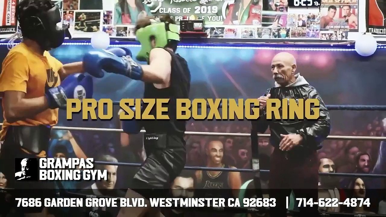 Denise Moran vs Julie Metzner (15-02-2024) Full Fight - video Dailymotion