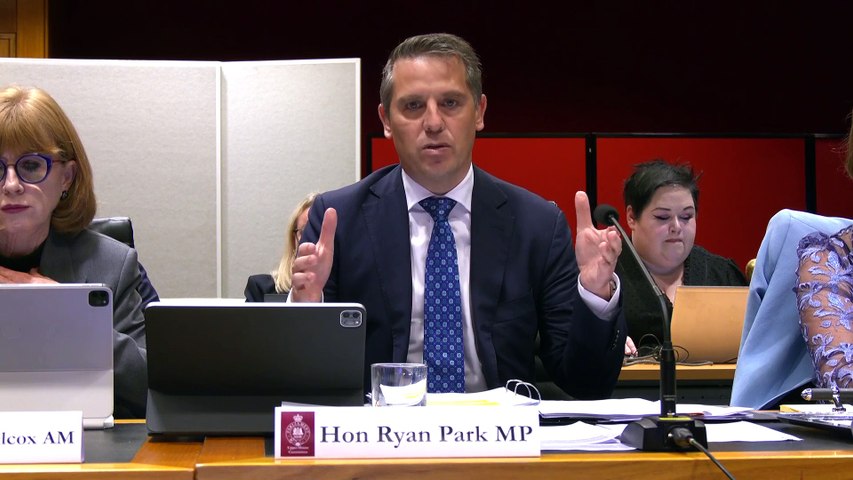 NSW Health Minister Ryan Park answers questions on Albury hospital ...