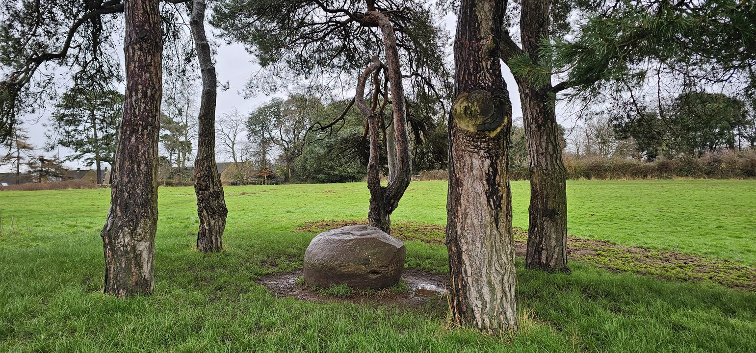 We go on a soothing walk from Frenchay Common to Frenchay Moor - video ...