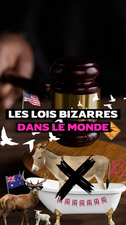 Les lois les plus absurdes autour du monde - Vidéo Dailymotion