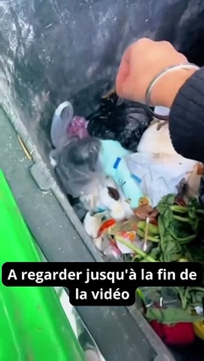 Super vidéo, à regarder jusqu'à la fin - Vidéo Dailymotion