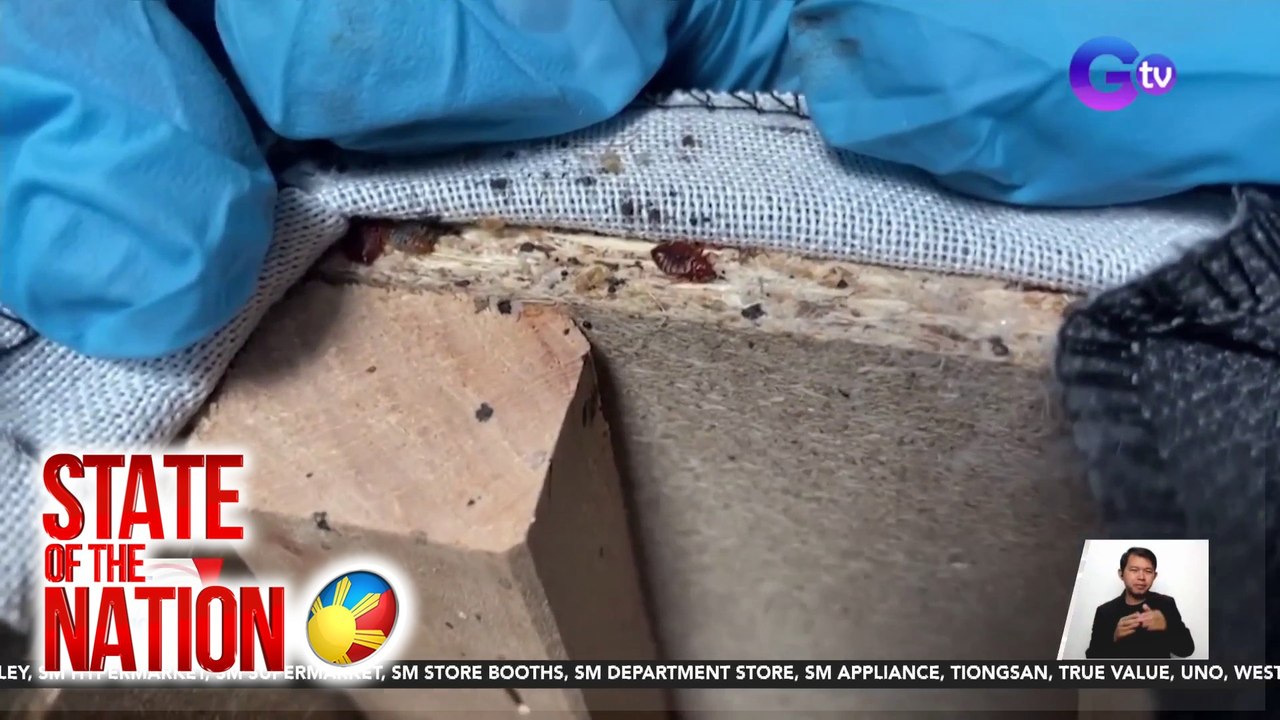 Dalawang pasahero, kinagat umano ng surot sa ilang upuan sa NAIA ...