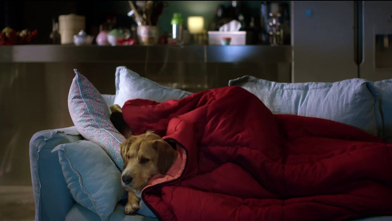 Yves (2019) - Bande annonce - Vidéo Dailymotion