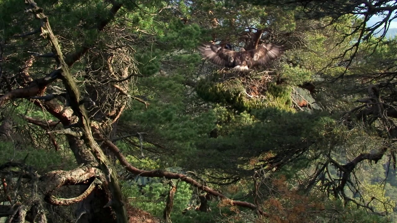 The Incredible Scottish Highlands (4K Documentary) - Our World - video ...