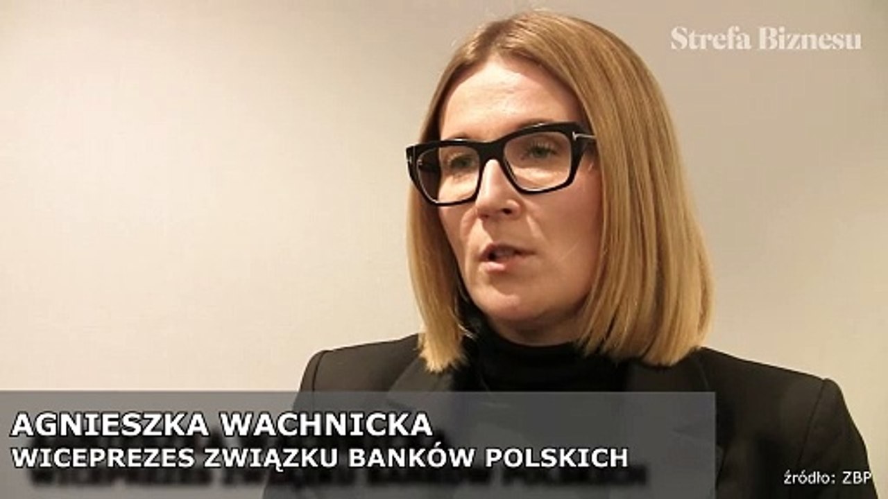 Strefa Biznesu: Zdaniem ZBP Wakacje kredytowe w żadnej formule nie ...