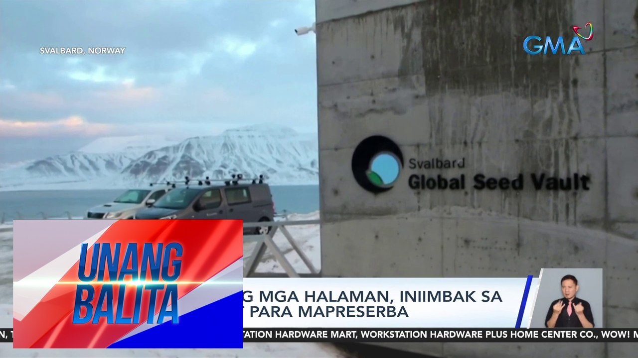 Mga punla ng mga halaman, iniimbak sa frozen vault para mapreserba | UB ...