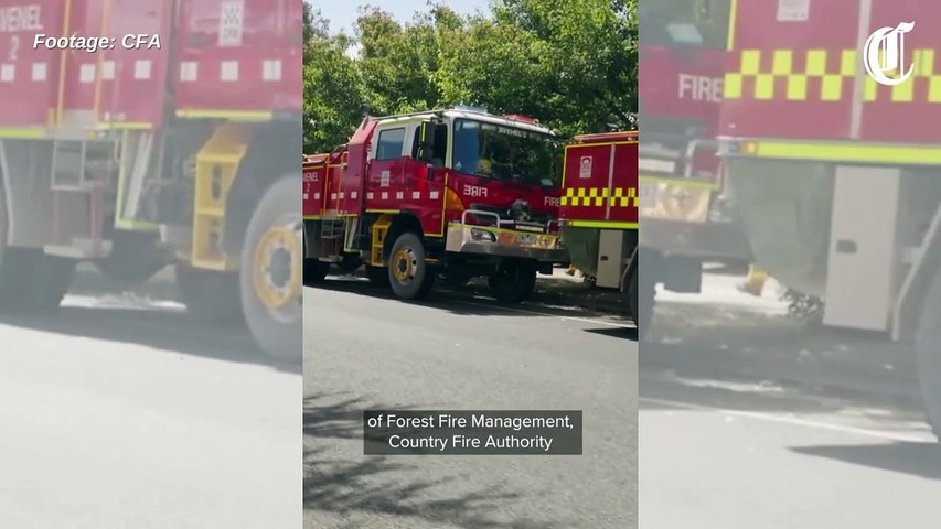 See inside the Forest Fire Management Victoria Base Camp | The Courier ...