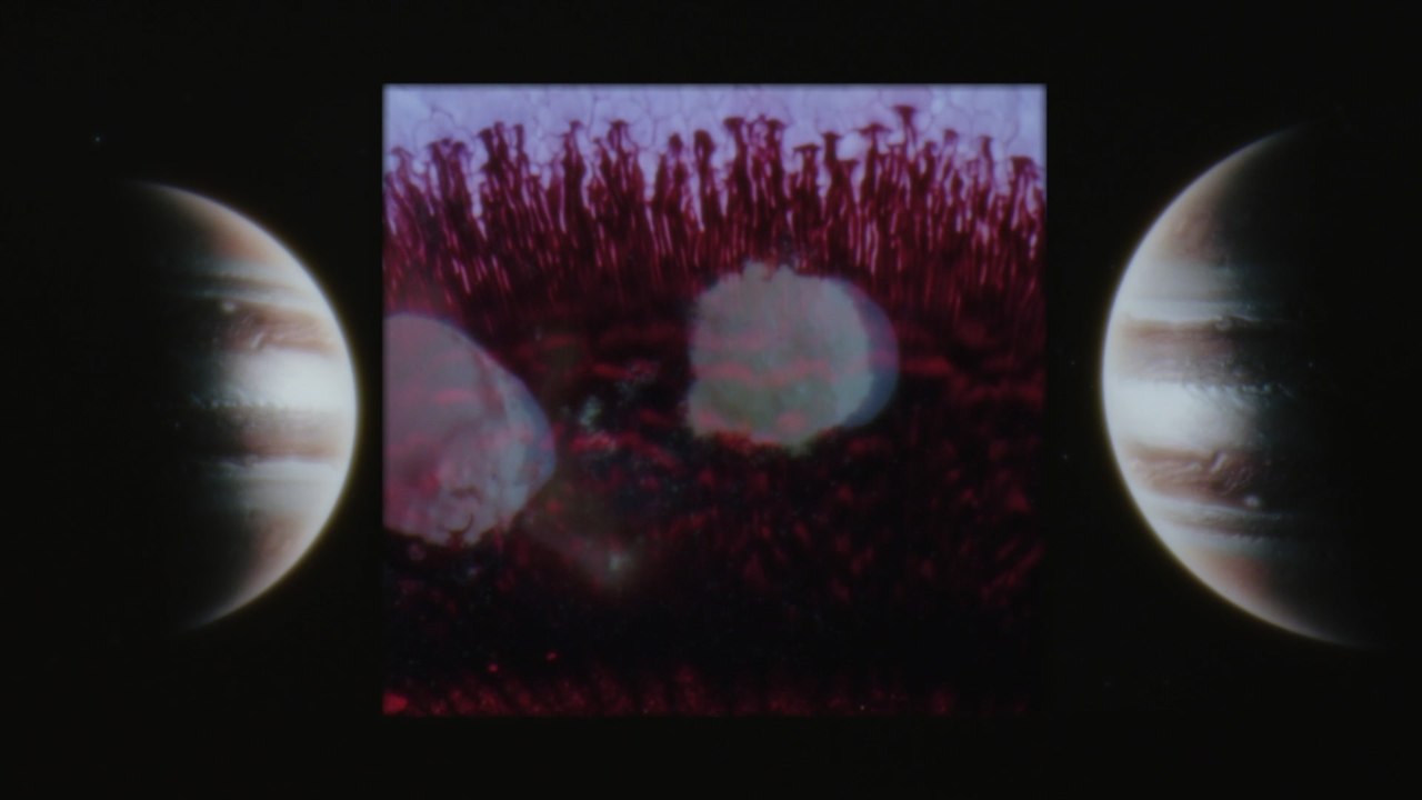 Ludovico Einaudi - Nefeli (Visualiser) - video Dailymotion