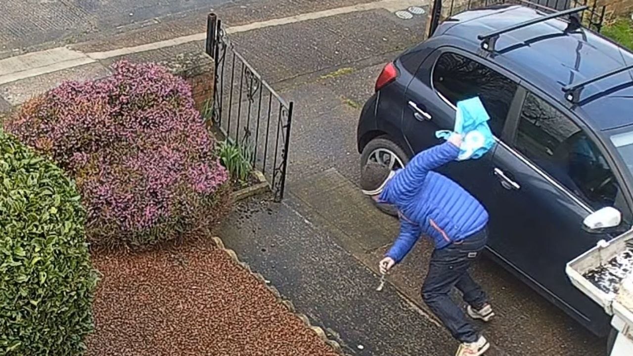 Man trips and falls face-first into the bushes *Hilarious Fail* - video ...