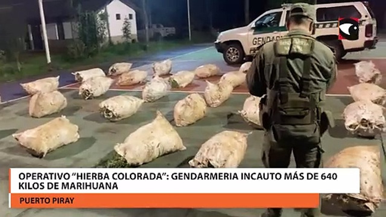 Operativo “hierba colorada”: gendarmería incauto más de 640 kilos de ...