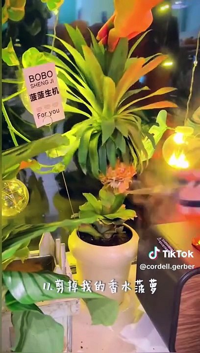 MY NIGHT ROUTINE - video Dailymotion