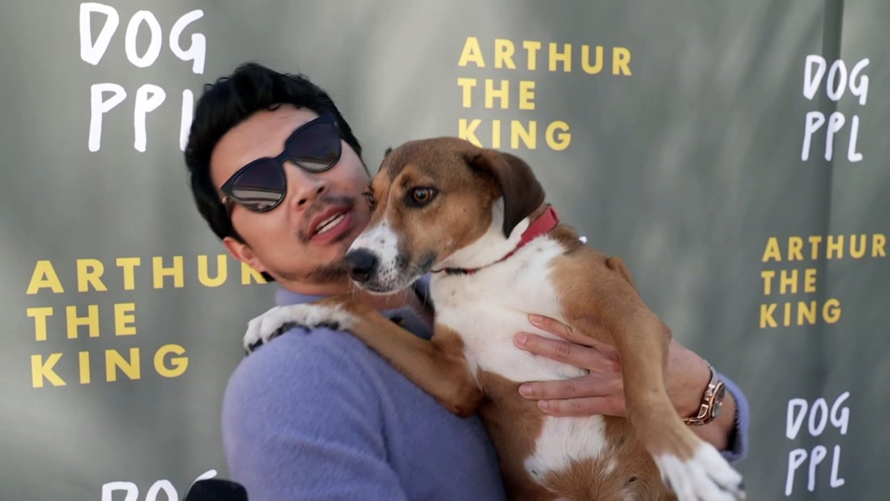 Arthur The King | DOG PPL Event Interviews With - video Dailymotion