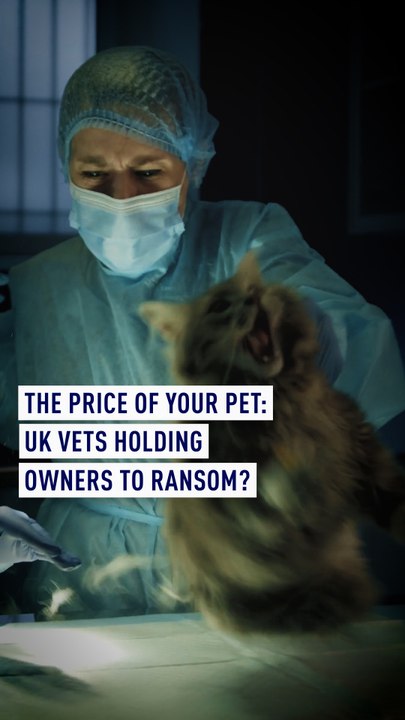 The price of your pet: Are UK vets holding owners to ransom? - video ...
