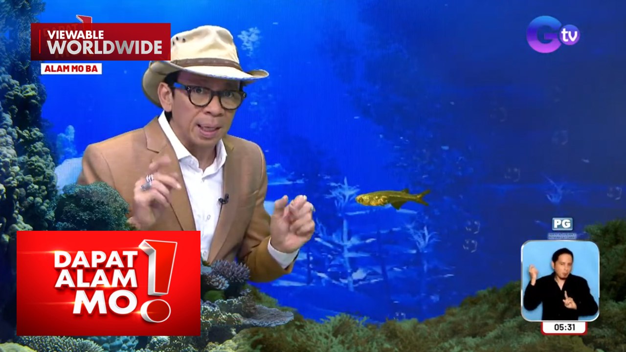 Isang uri ng isda, nakapaglalabas ng tunog na kasing lakas ng eroplano ...