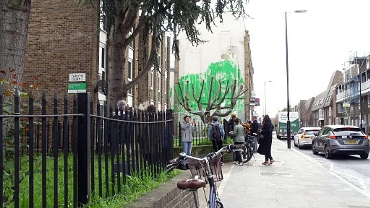 ‘What a pity’: Banksy tree mural defaced with white paint - video ...