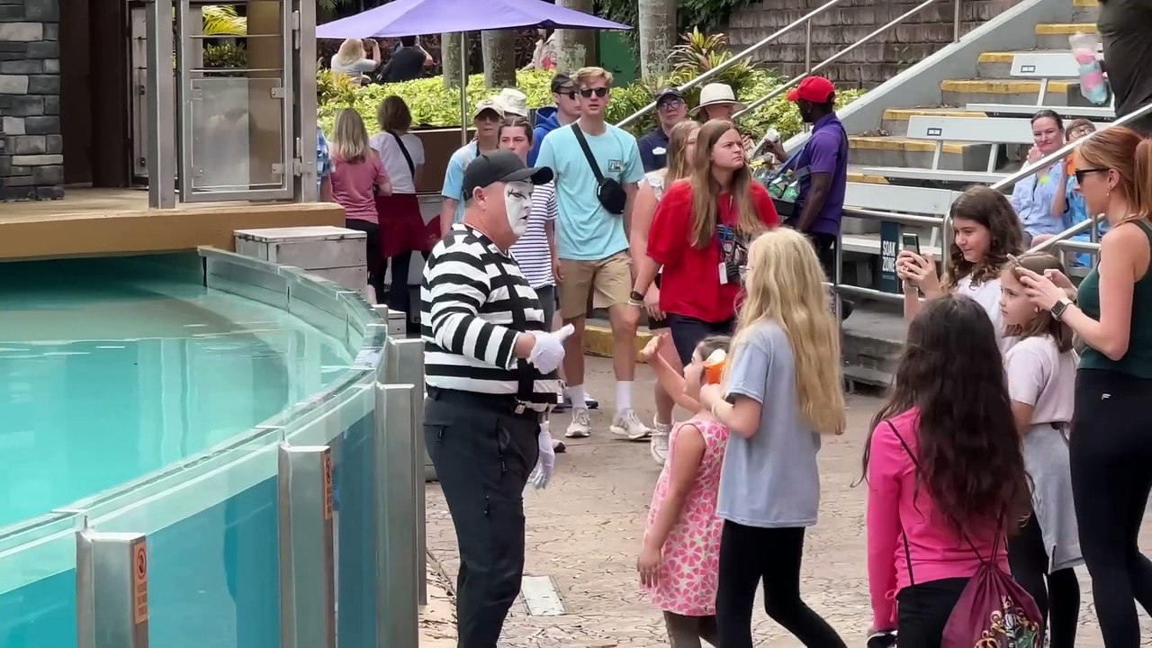 Tom The Mime Making Everyone Laugh At Seaworld Orlando Video Dailymotion