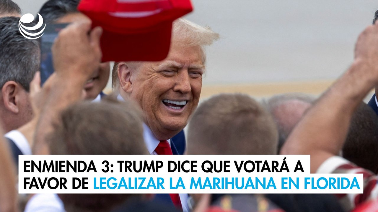 Enmienda 3: Trump dice que votará a favor de legalizar la marihuana en ...
