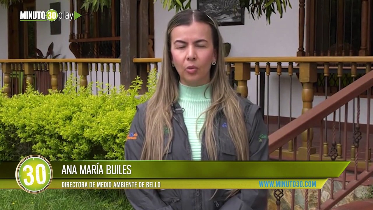 80 peluditos en Bello buscan una familia que los adopte y les brinde ...