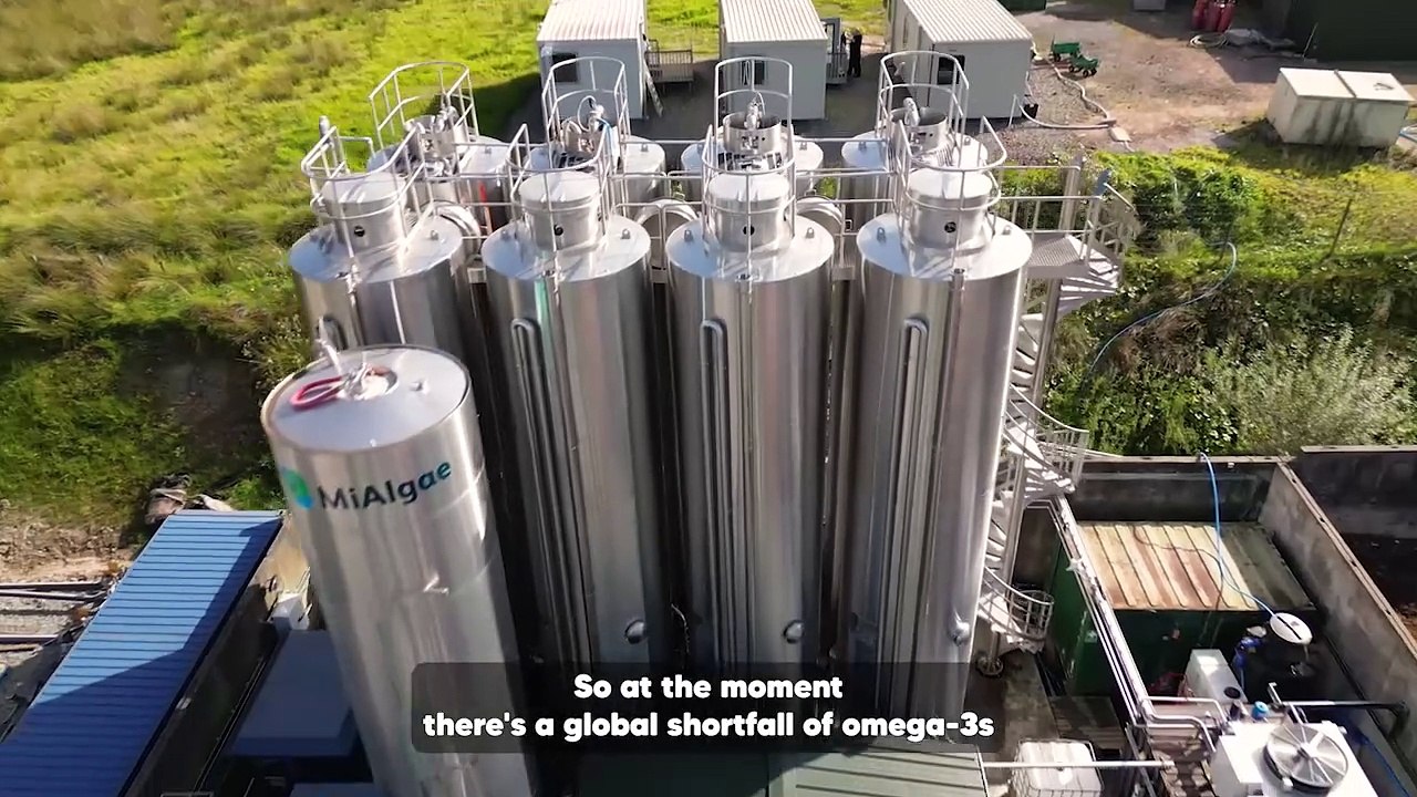 MiAlgae biotech firm - video Dailymotion