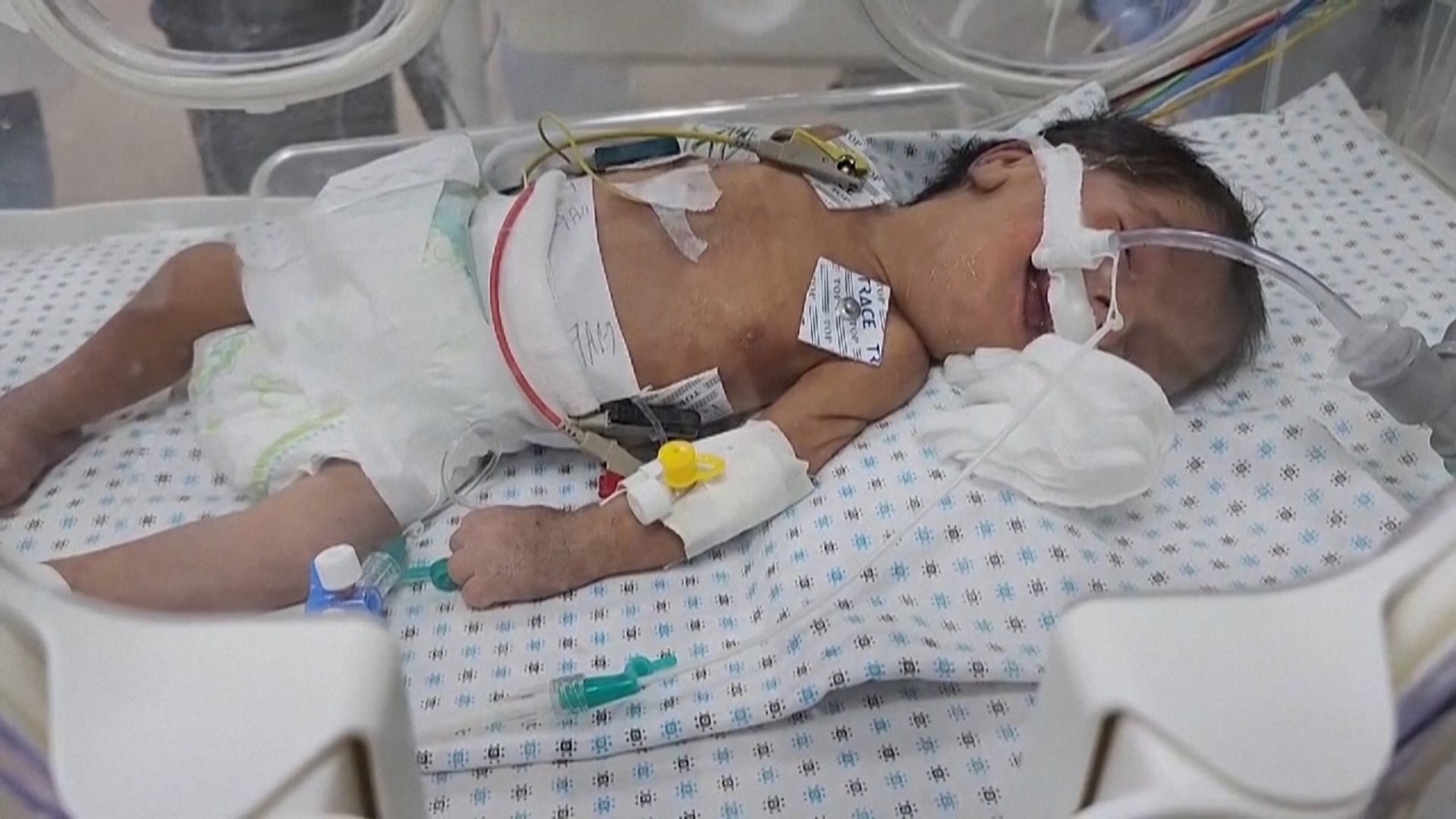 Últimos vídeos de Internacional - Página 83 | EL MUNDO