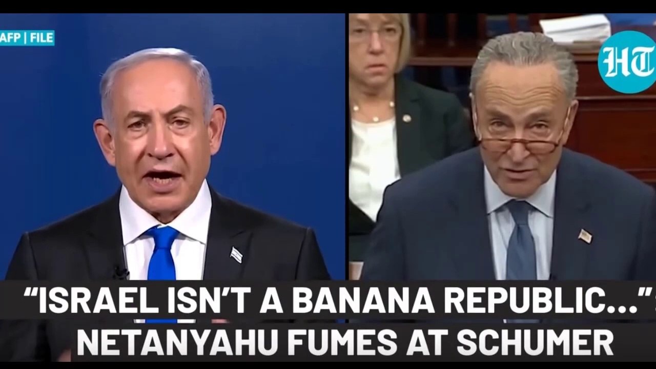 Dr. Annelle Sheline and Human Rights in Gaza! Free Palestine! / Digital ...