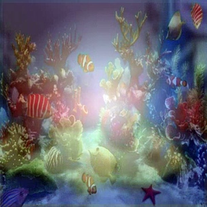 Dora The Explorer S03E05 The Big Potato - video Dailymotion