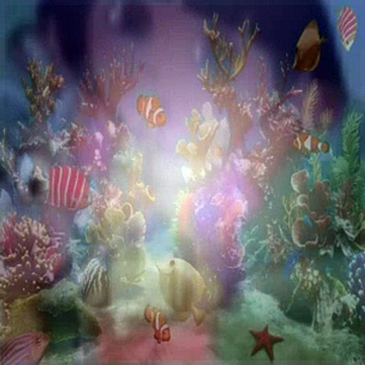 Dora The Explorer S05E06 First Day Of School - video Dailymotion