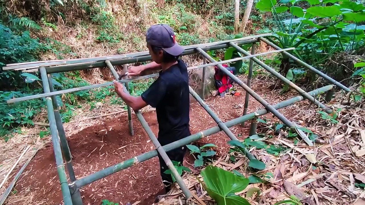 2 days solo camping building a shelter with a stacked bamboo roof that ...