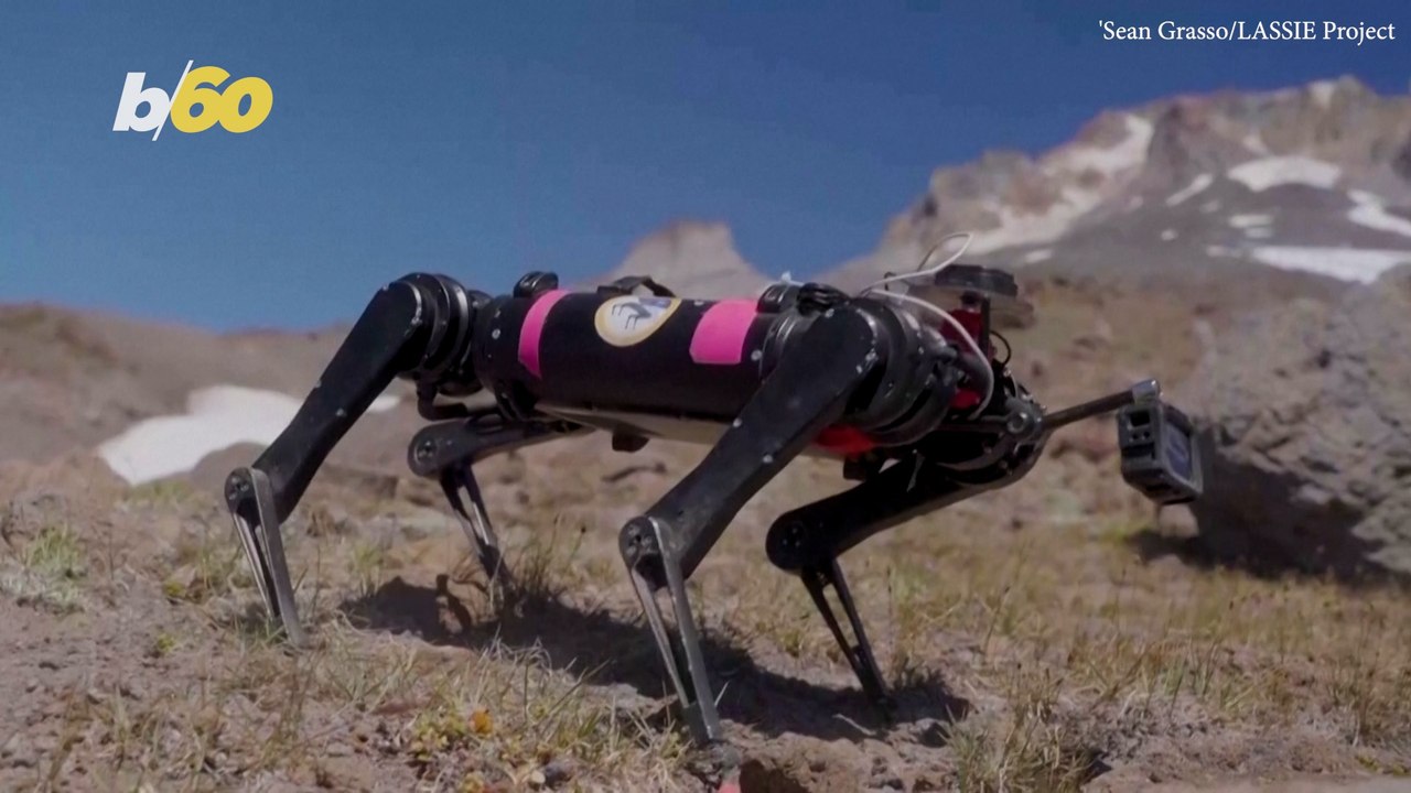 Robot Dogs in Space are More Fact than Fiction - video Dailymotion