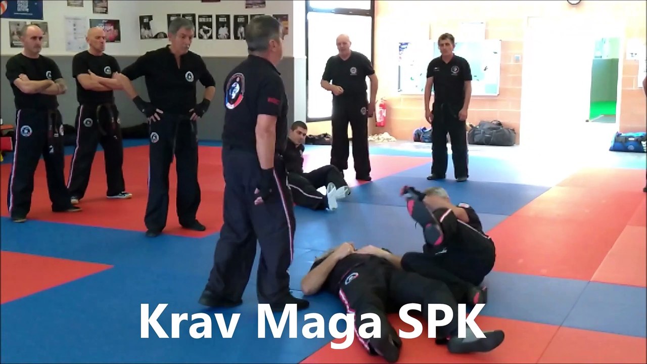 STAGE KRAV MAGA SPK MASTER LEVINET - video Dailymotion