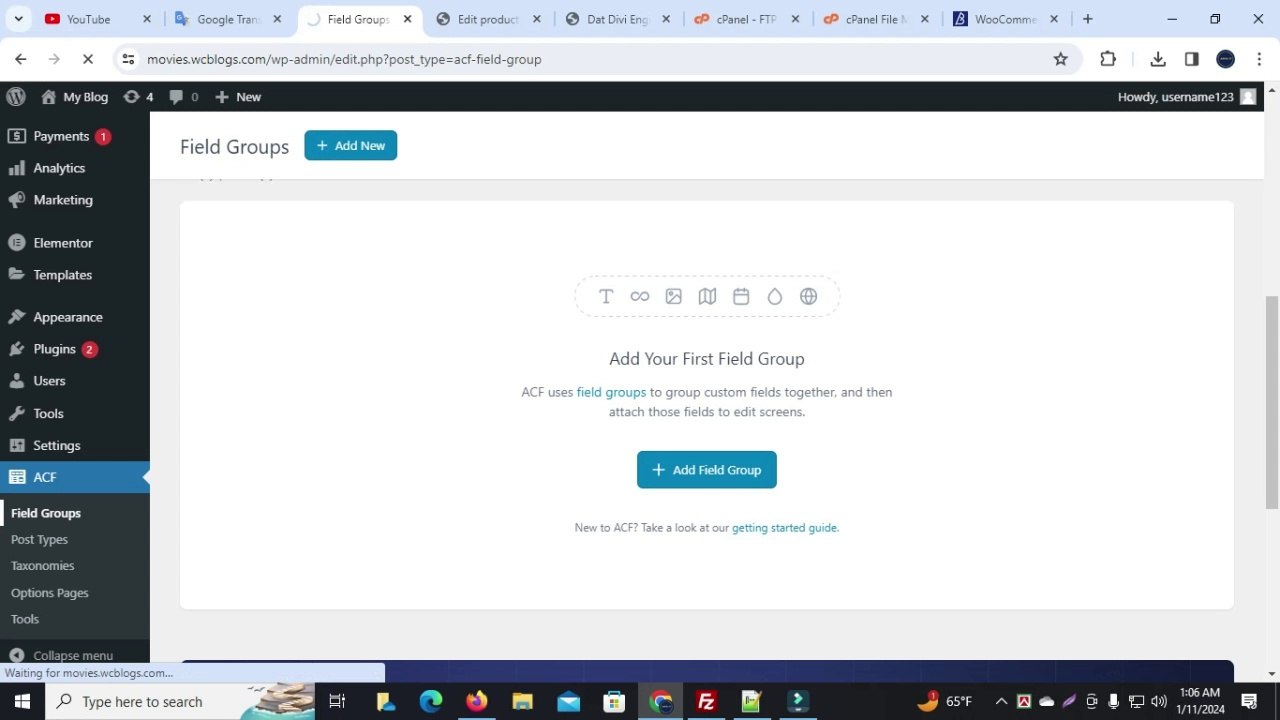 Display Advanced Custom Fields (ACF) Fields value in a Single product page in WooCommerce ...