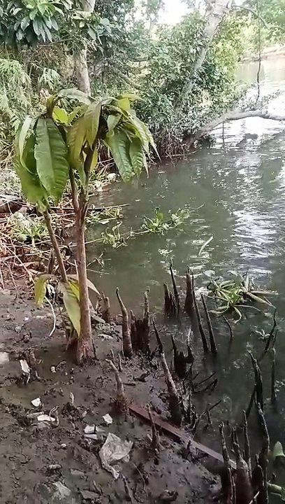 galing naman - video Dailymotion