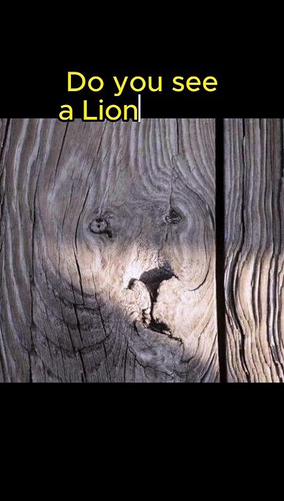 Seeing Faces in Everyday Objects - Part 4 #pareidolia - video Dailymotion