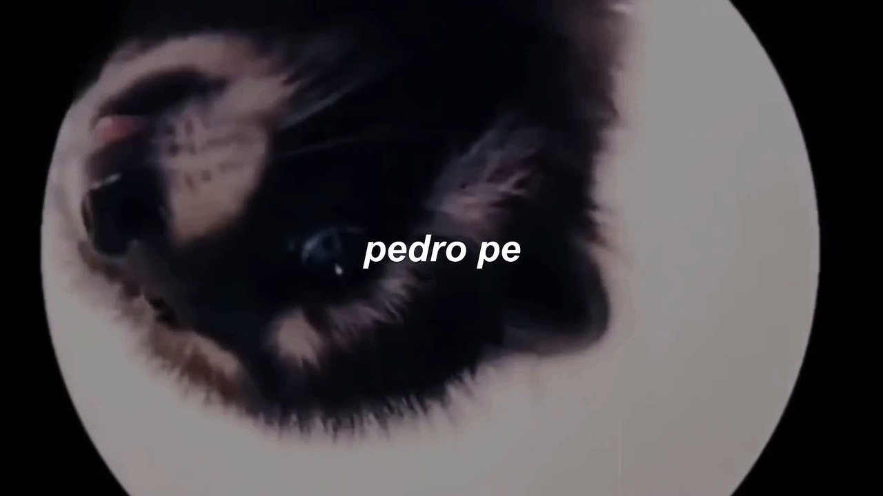 pedro pedro pedro pe - Vídeo Dailymotion