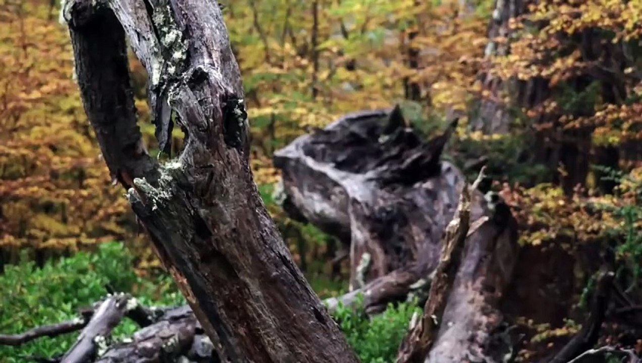 El Botón de Nácar Trailer - Vídeo Dailymotion
