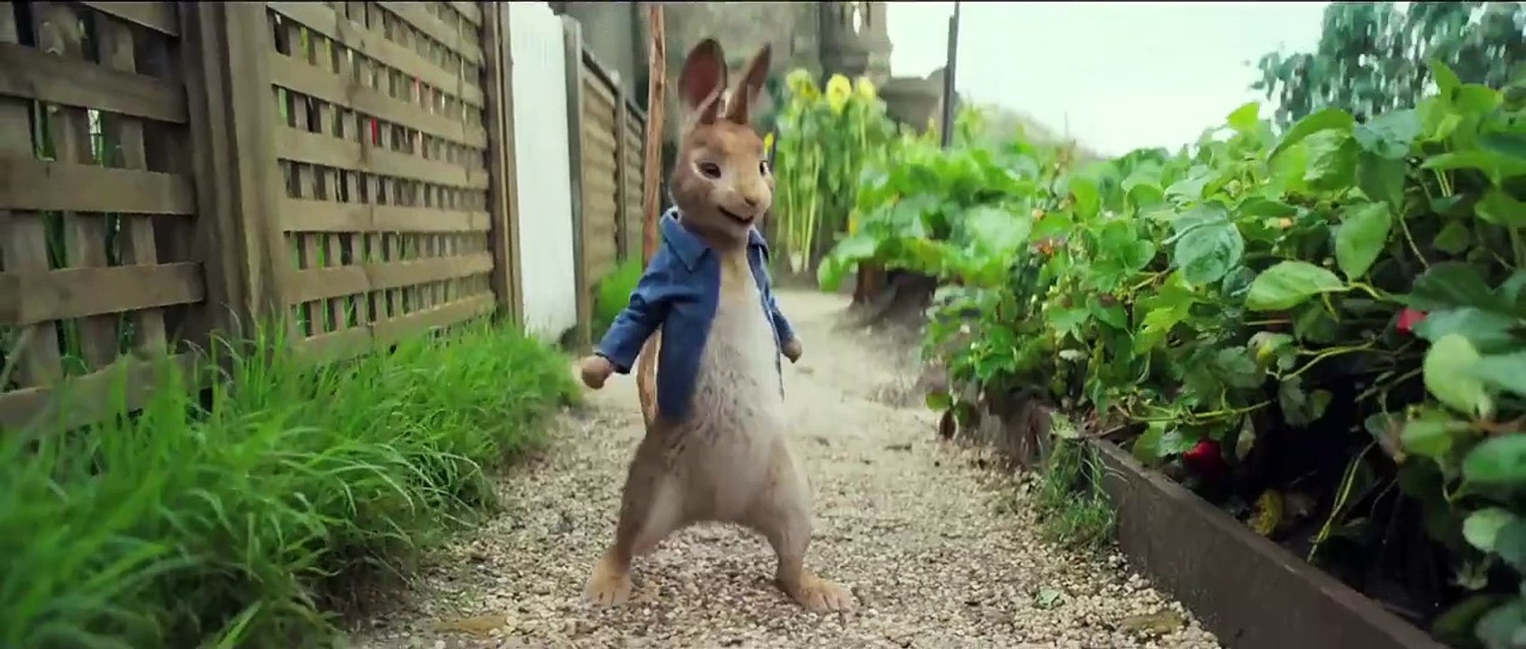 Peter Rabbit - Tráiler Internacional - Vídeo Dailymotion