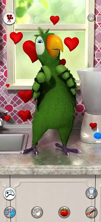 Talking Pierre the Parrot ll Konuşan Pierre Papağanı - video Dailymotion