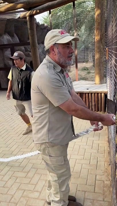 I maybe Strong but this female Liger is much Stronger - video Dailymotion