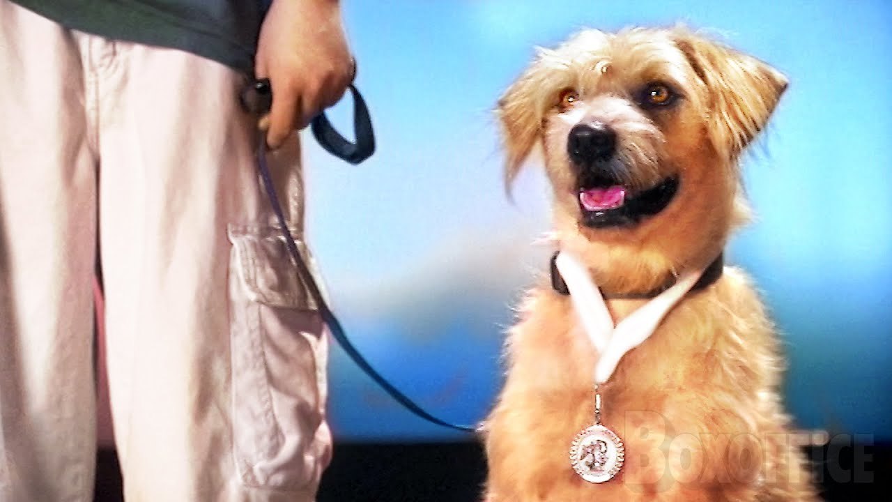 Lenny, Chien Détective | Film Complet en Français | Famille - Vidéo ...