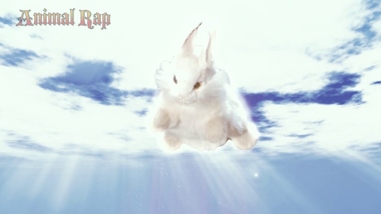 AnimalRap #04 - video Dailymotion