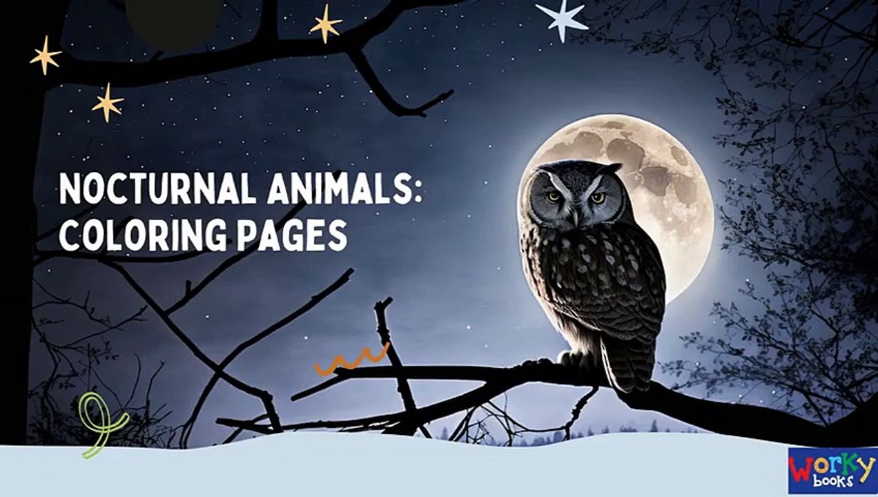 Nocturnal Animals Coloring Pages - video Dailymotion