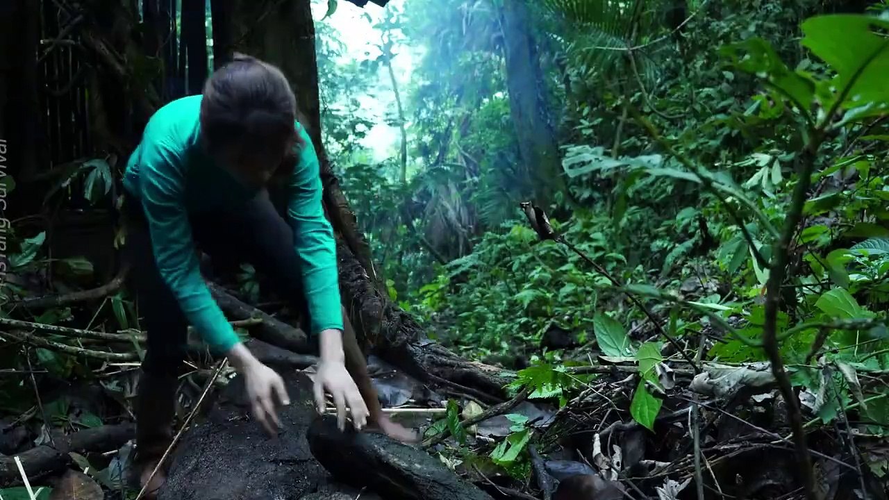 60 days building a shelter living in the wild - Bushcraft survival ...