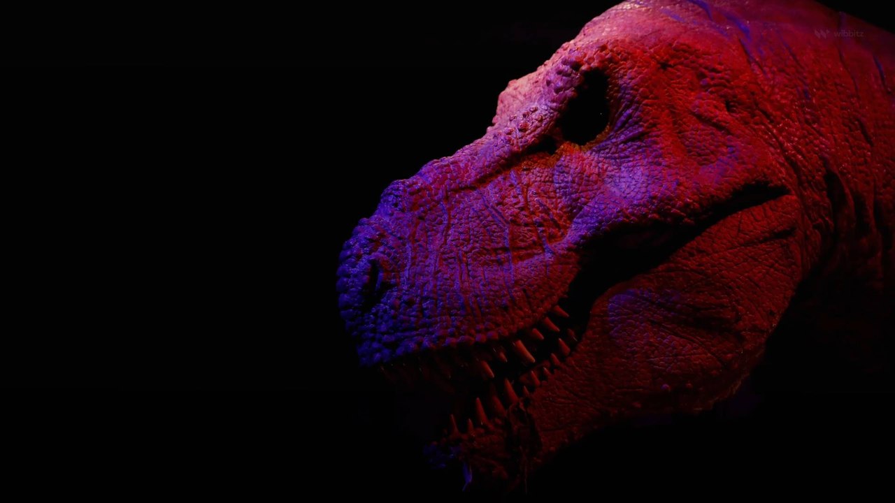 Scientists Question Claim That T. Rex Was as Smart as Modern Monkeys ...